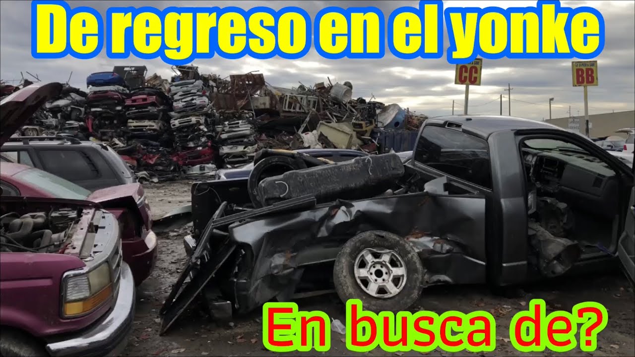Yonkes Abiertos Cerca De Mi