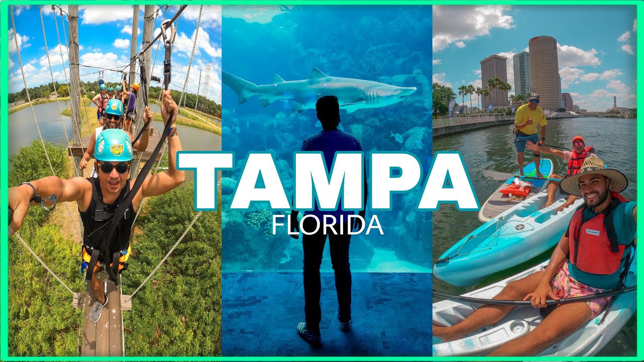 La ruta más rápida: cómo llegar de Miami a Tampa sin contratiempos ...